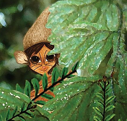 Seres Mágicos - Fundación Huilo Huilo